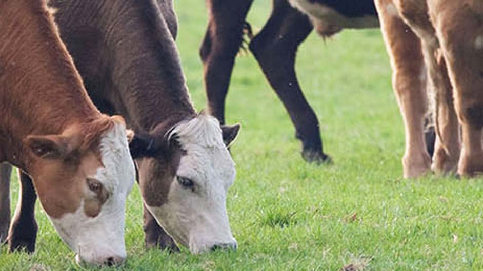 Agriculture Banking | Farming Finances - HSBC UK