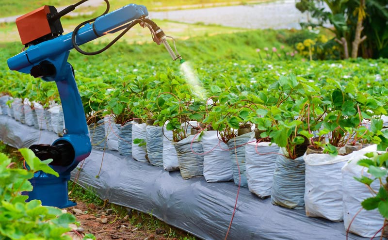 Sustainability for business in the UK | HSBC UK