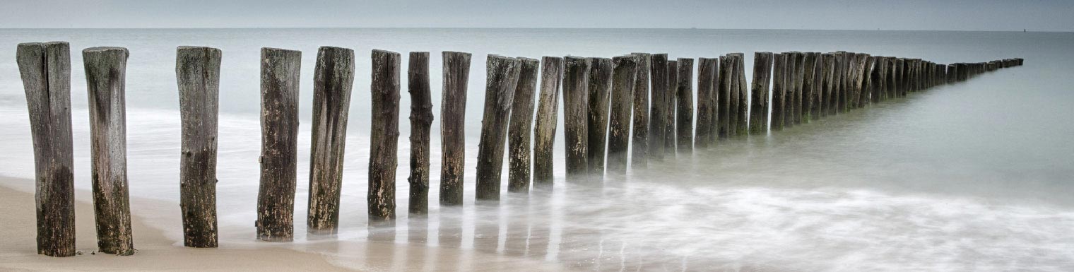 HSBC Safeguard | Business Banking | HSBC UK